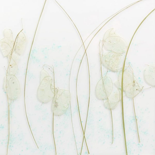 Organic Materials in Glass or Resin | Surface Products