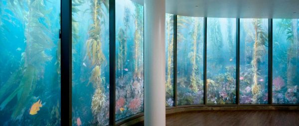 Digital Printing on Glass | Surface Products | Vancouver