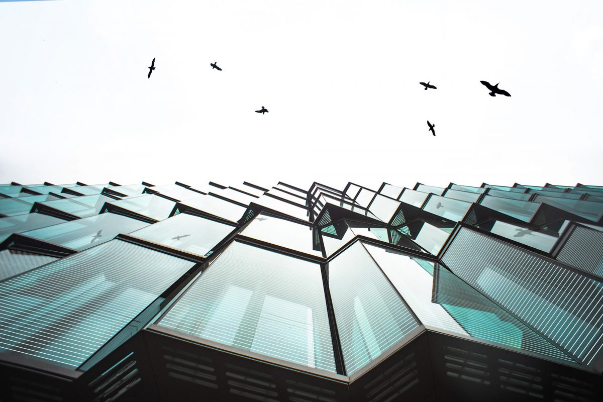 Bird Safe Glass by GlasPro | Surface Products | Vancouver