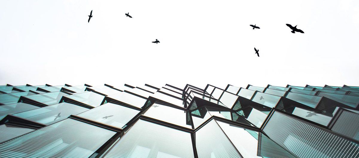 Bird Safe Glass by GlasPro | Surface Products | Vancouver