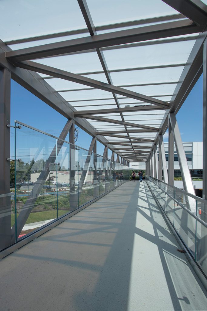 Tech Company Protects Avian Population With Bird Safe Glass Surface Products